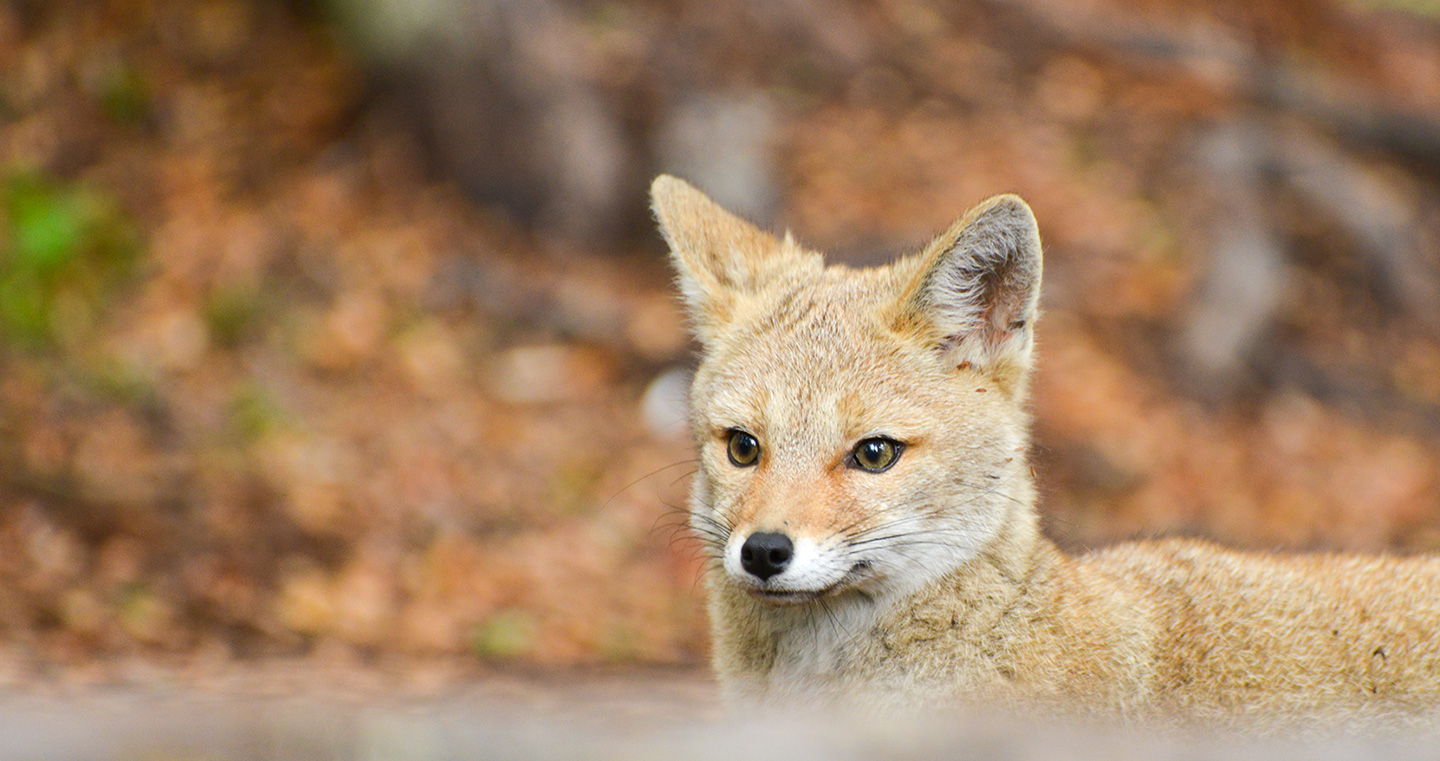 Canal Ushuaia | Ofertas de último momento
